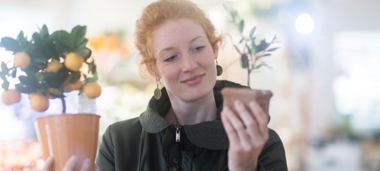 3 alternatieven voor huidige zakelijke rente